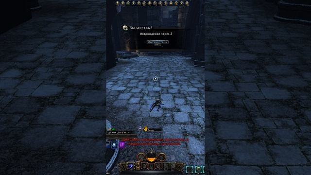 Амарил унижает... :( | Neverwinter Online #shorts