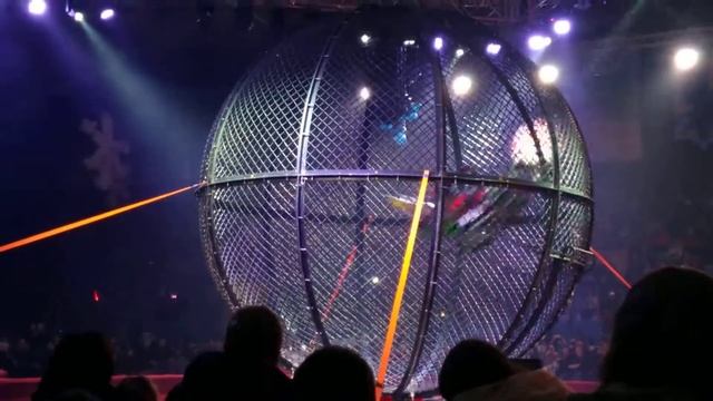 Российский цирк. Мотоциклисты  с номером из книги рекордов Гиннеса