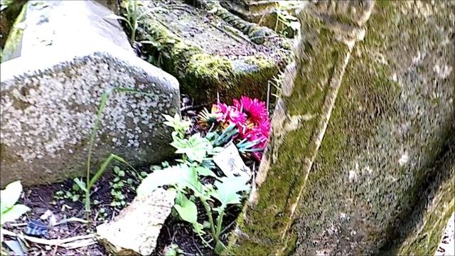 Останки надгробий на территории церкви в Юркино.