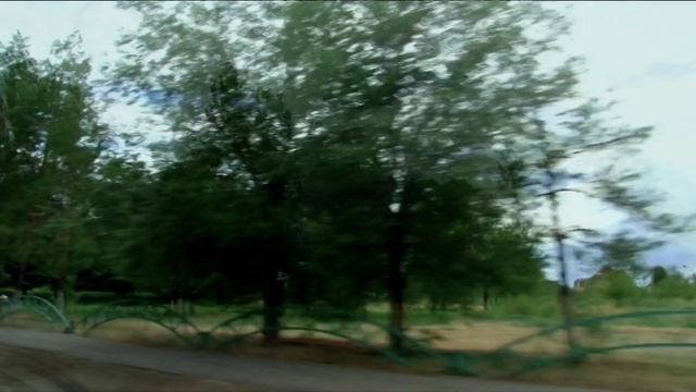 Прогулка молодых