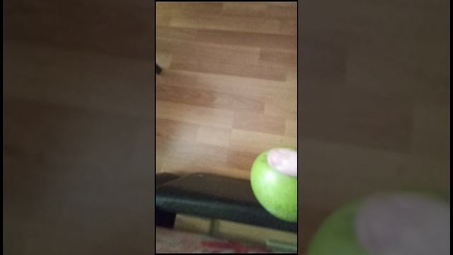 Что-то пошло не так 🤣🤣