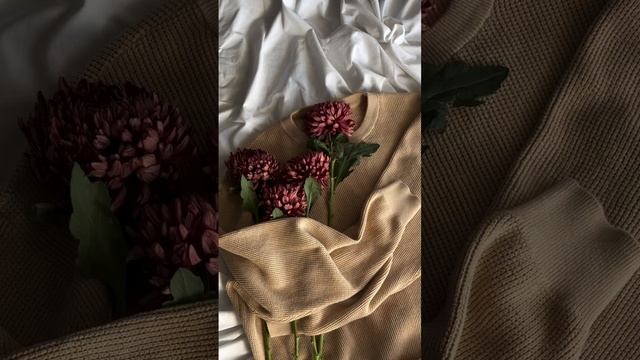 Настроение.  #осень  #цветы  #эстетика