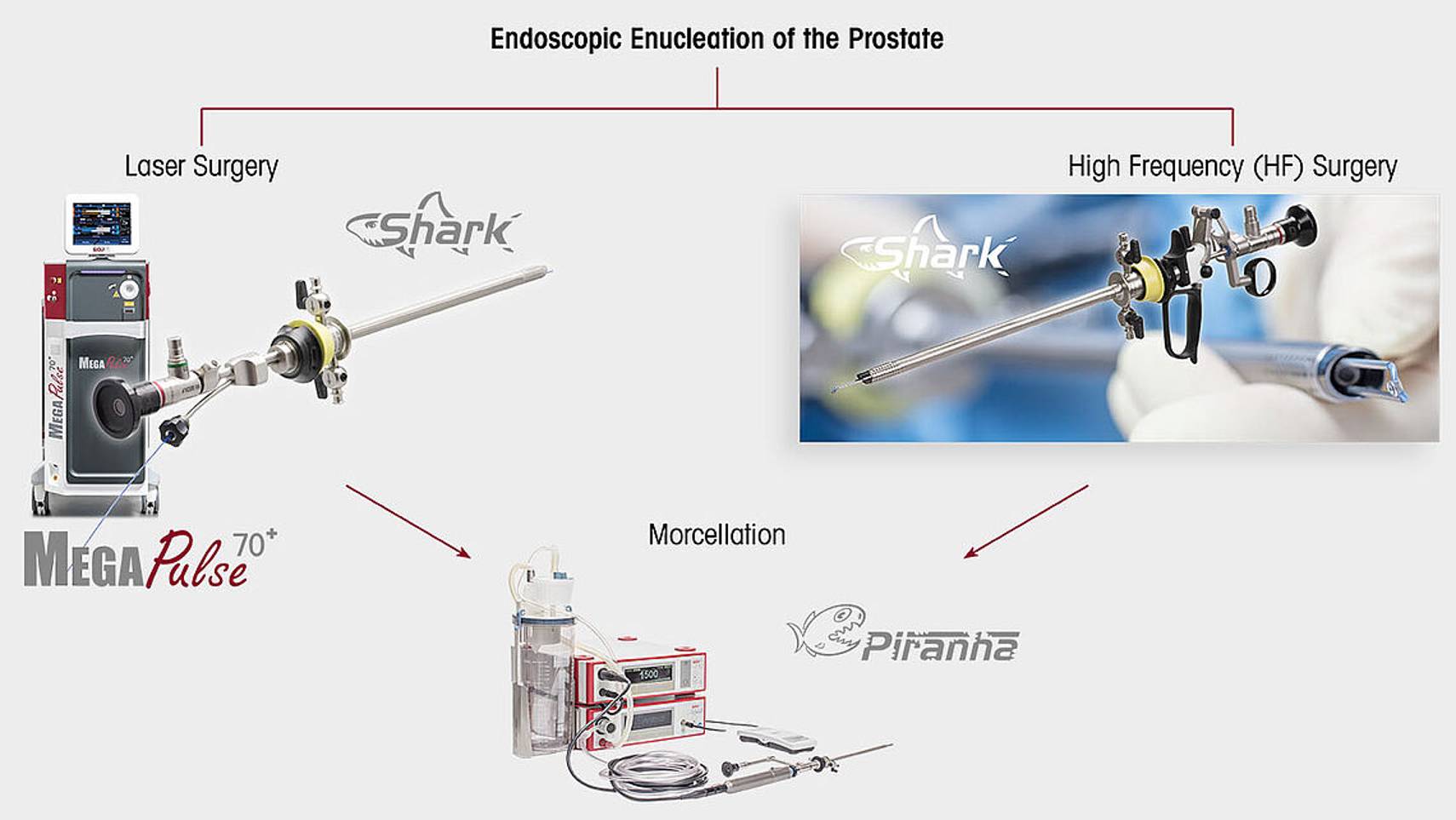 Shark meets Piranha (GB)