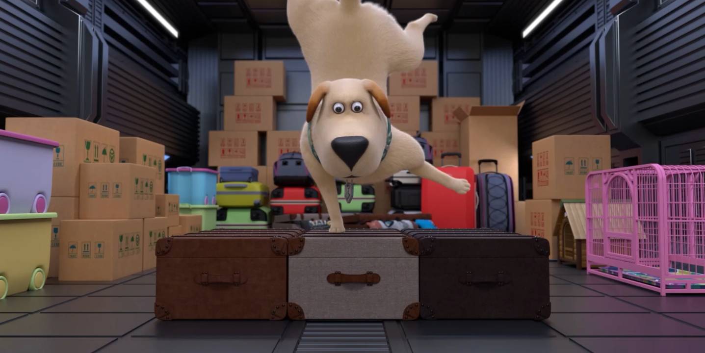 Корги по имени Моко. Домашние животные 2, 11 серия. В самолёте