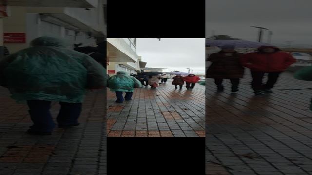 Сочи 2023 декабрь