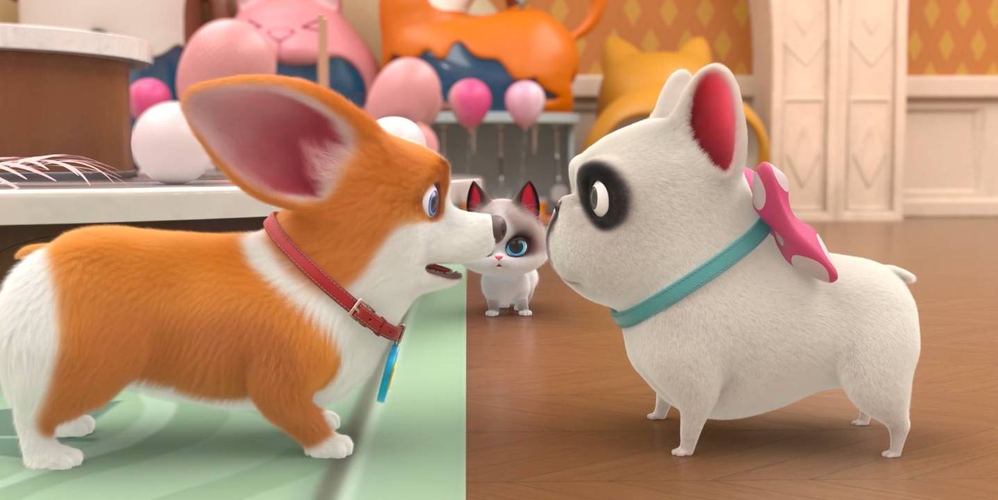 Корги по имени Моко. Домашние животные 2, 10 серия. Сломанный телефон