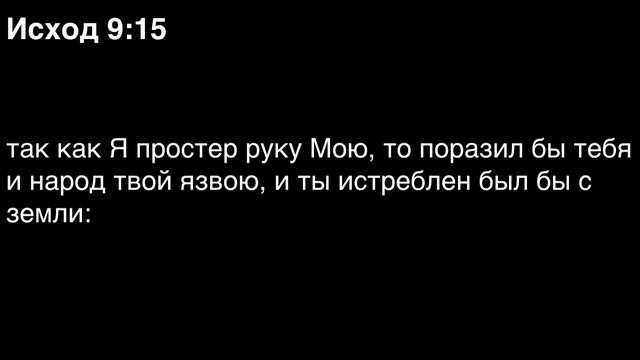 День 17. Библия за год. С митрополитом Иларионом