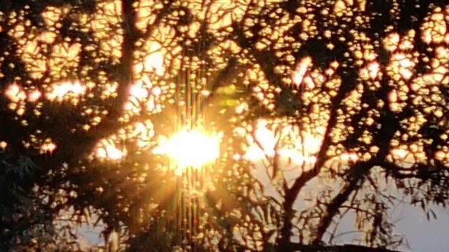 Хор солнечных лучей.