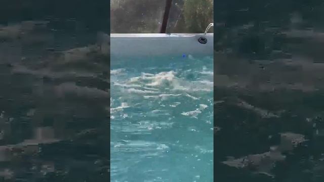 Плавательный спа-бассейн Jazzi Pool Agasis с противотоком под куполом