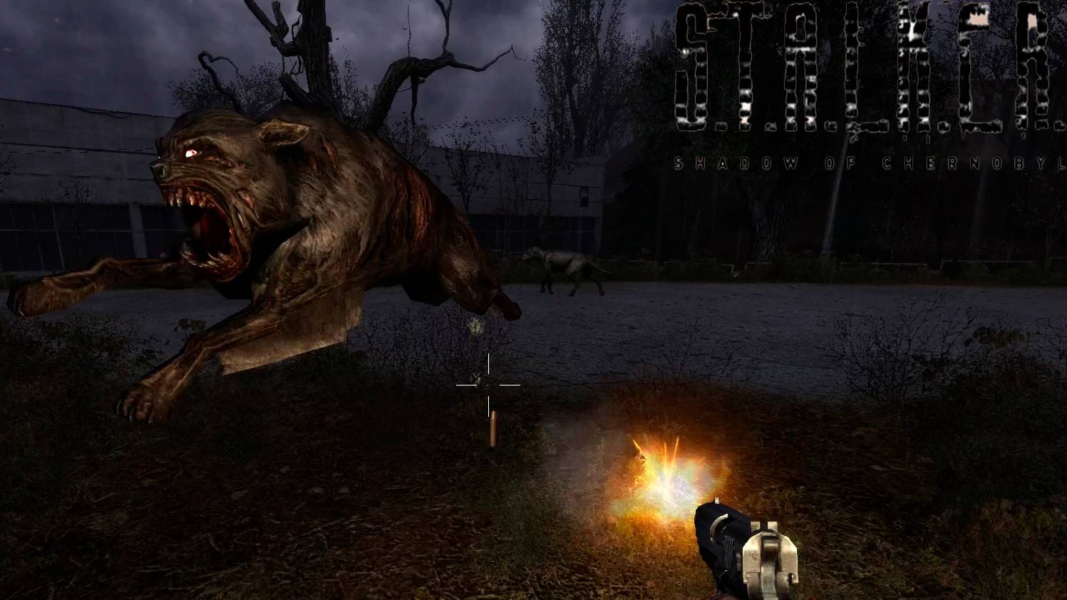 СОБАКИ ЗАБИЯКИ S.T.A.L.K.E.R. Shadow of Chernobyl #3