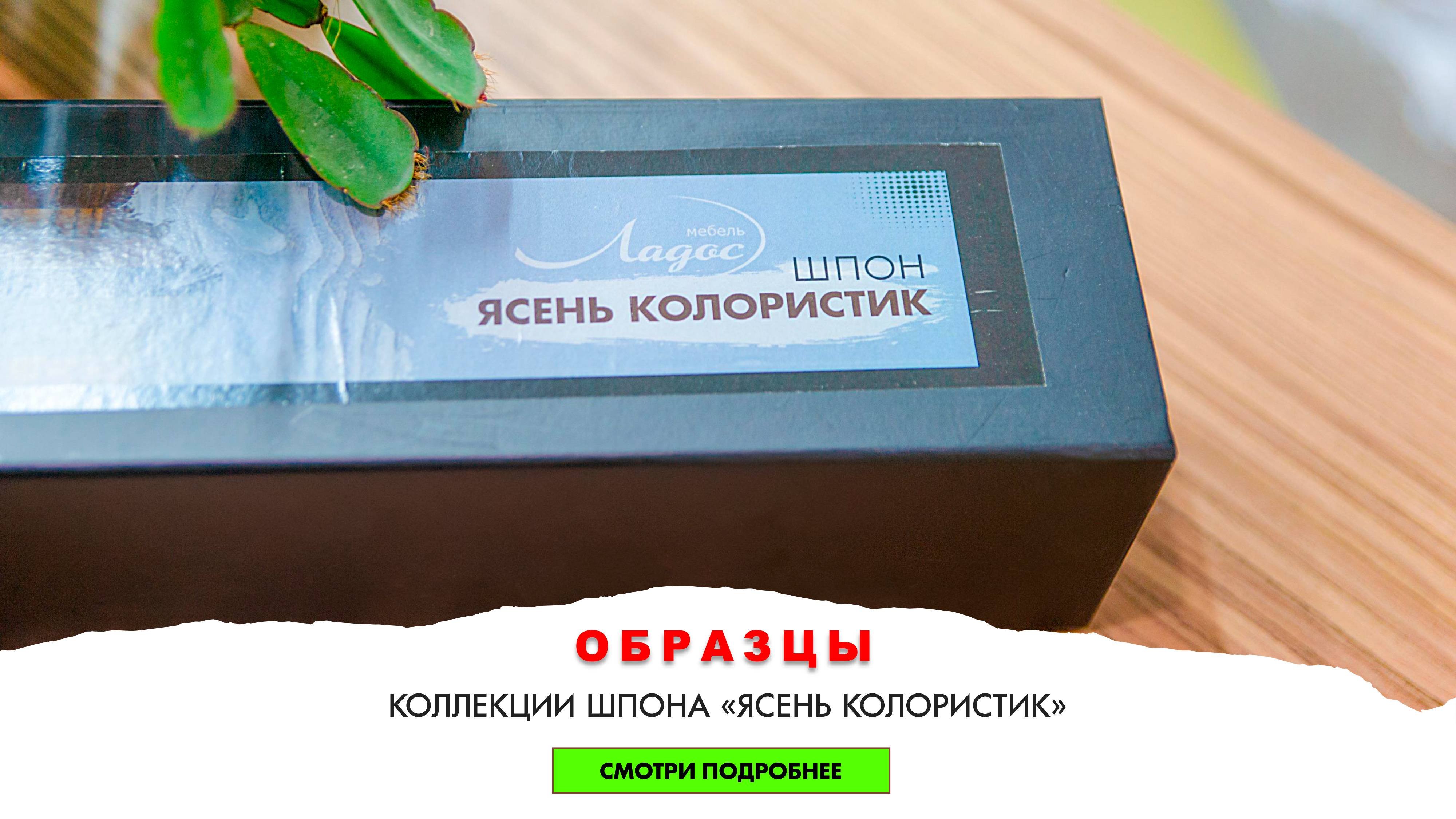 Распаковка шпоновых образцов коллекции «Ясень Колористик»