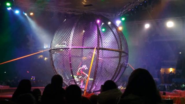 Номер с мотоциклистами  в шаре. Российский  цирк 2018