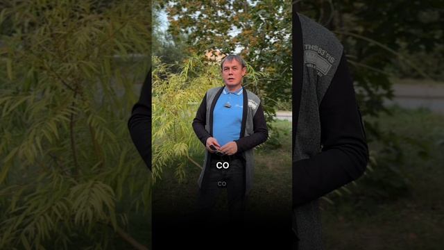 Притча 2 Притча про учителя