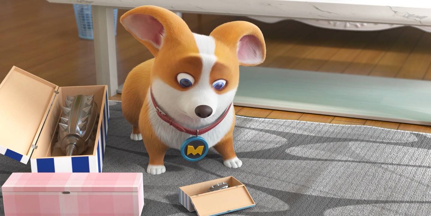 Корги по имени Моко. Простые истории, 20 серия. Подарок