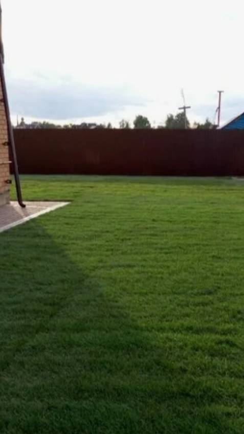 Все этапы подготовки и сева газона под осень. Должен взойти до морозов.