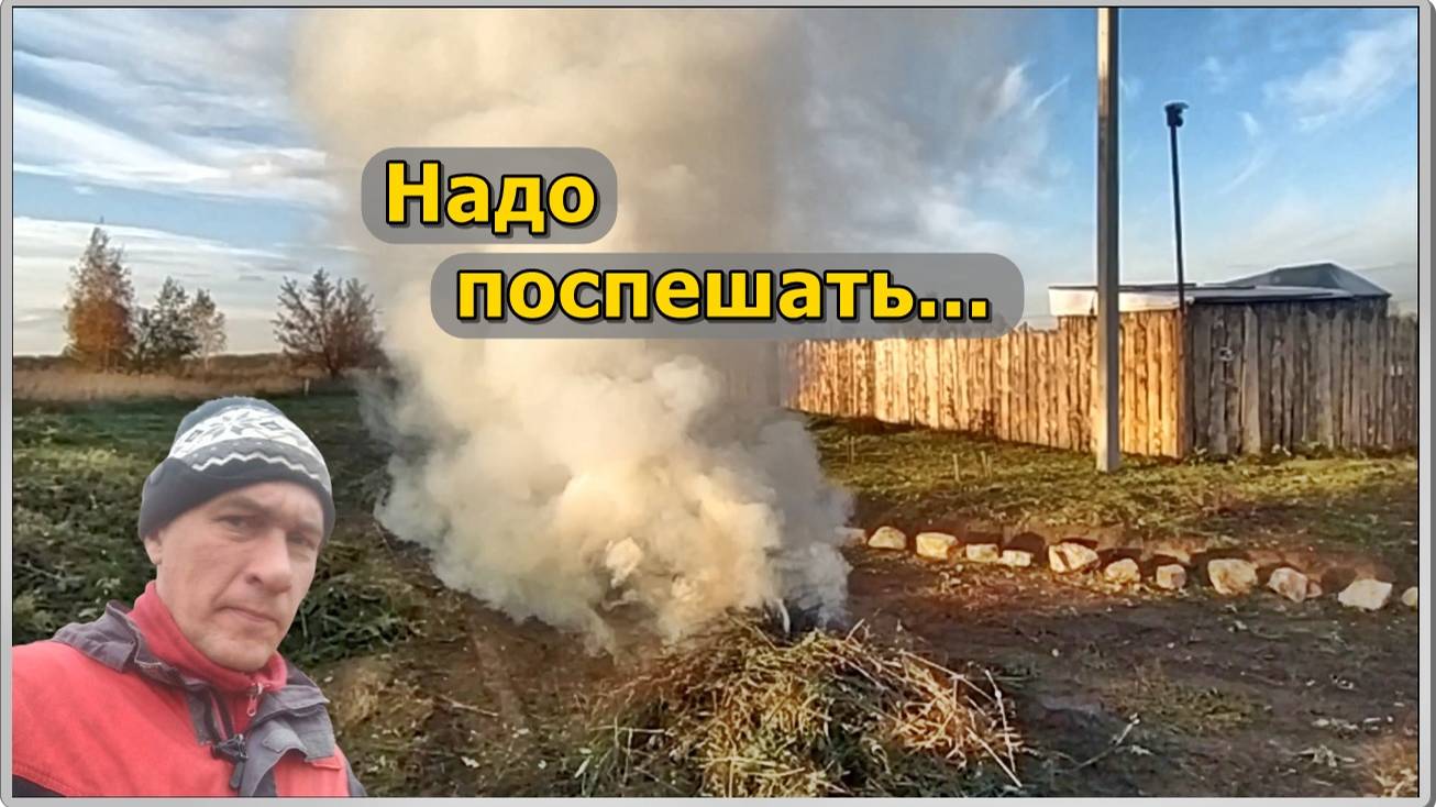 Землекоп и гуси