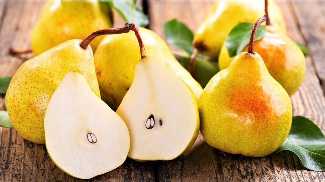 Груши околачивать - история выражения