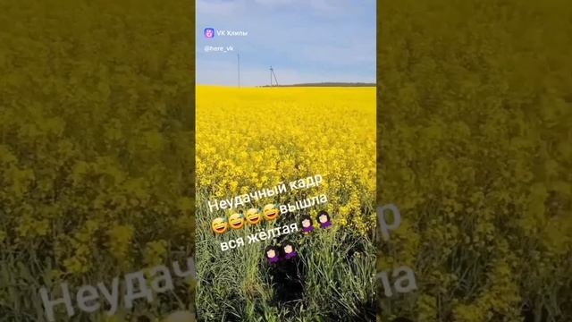 Вышла вся желтая...