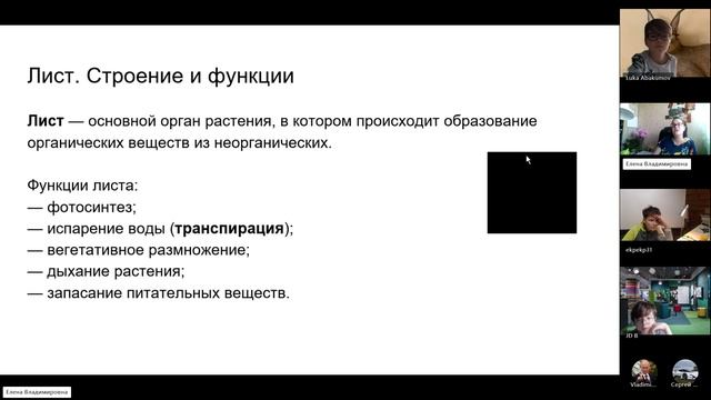 6 класс_7_22.10_Органы растений