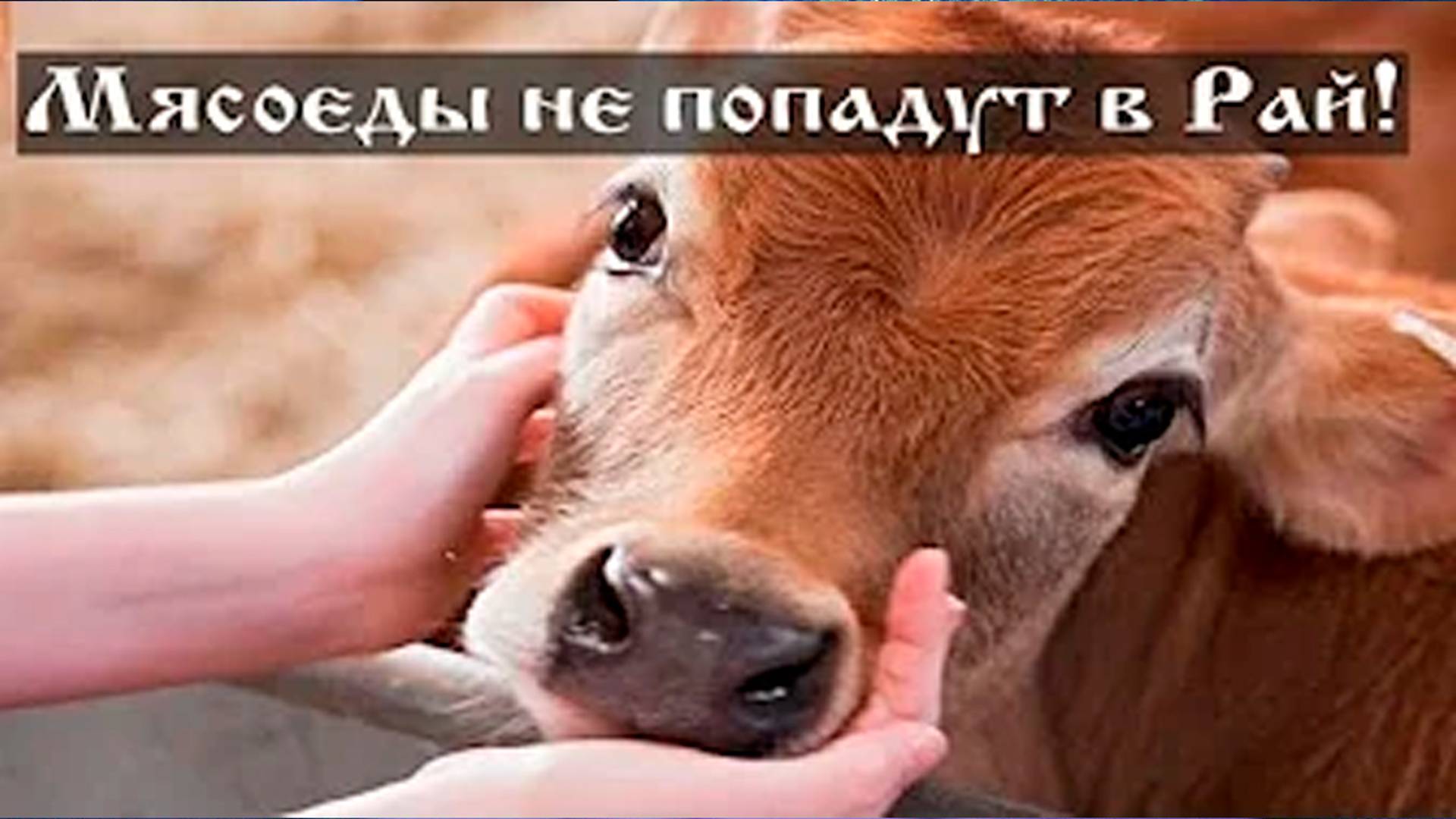 Почему те, кто ест мясо, не попадут в Рай