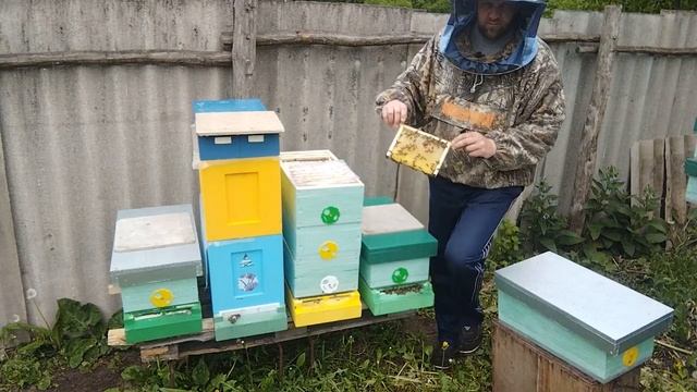 Формирование нуклейсов с помощью доноров