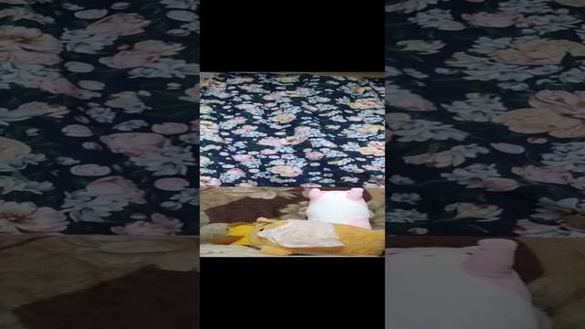 2 серия. Начало поиска