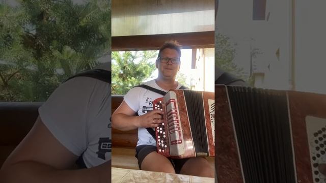 УГАДАЙ МЕЛОДИЮ на баяне выпуск 24