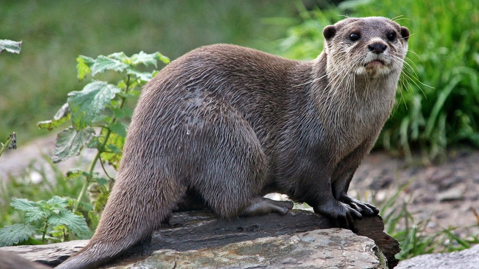 Перелетаем на другой кластер, Беломошники ура) Серия 16. 4 месяца в тайге.