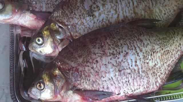 Как готовить леща с кабачком в казане. Мужская Кухня с Андреем Сажневым