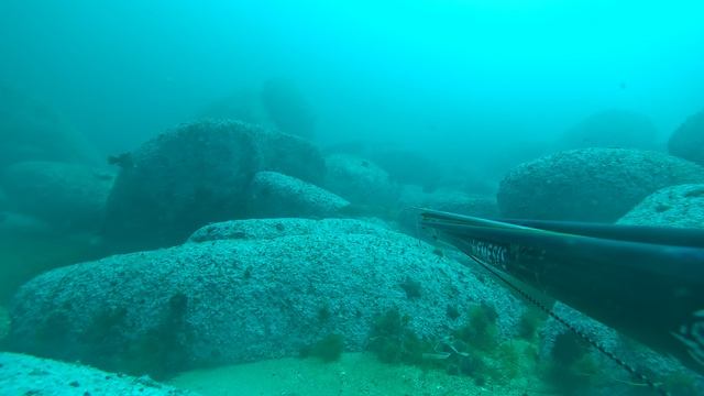 Хороший прозрак