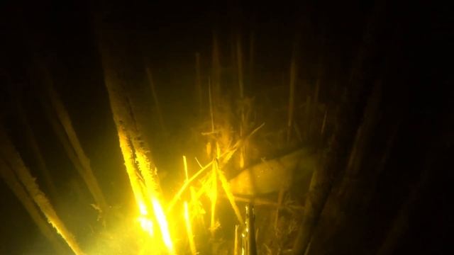 Подводная охота Ленинградская область Финский залив в ноябре. 1080p 60fps. #секретное место