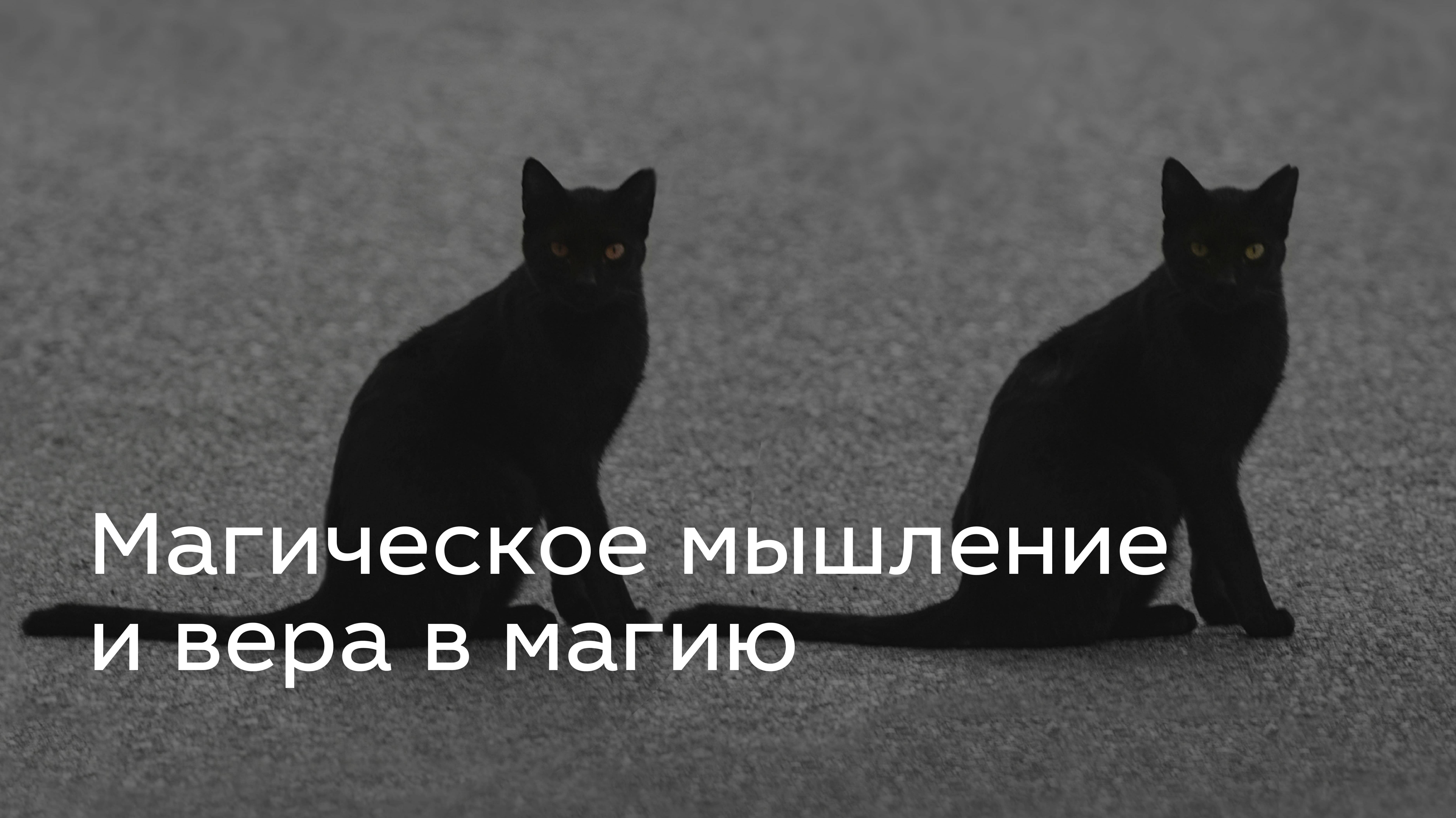 Магическое мышление и вера в магию