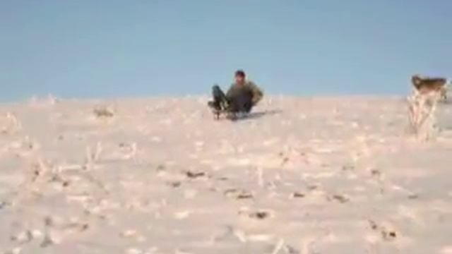 С горы на санках