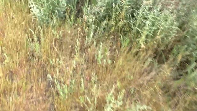 Солёное Озеро и его артефакты