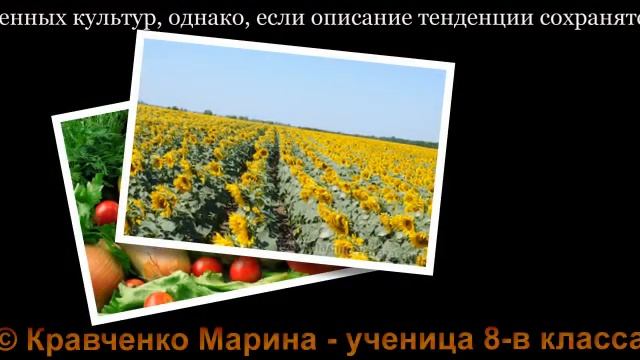 Презентация "Климат Донбасса"