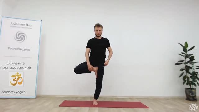 Общая практика 1