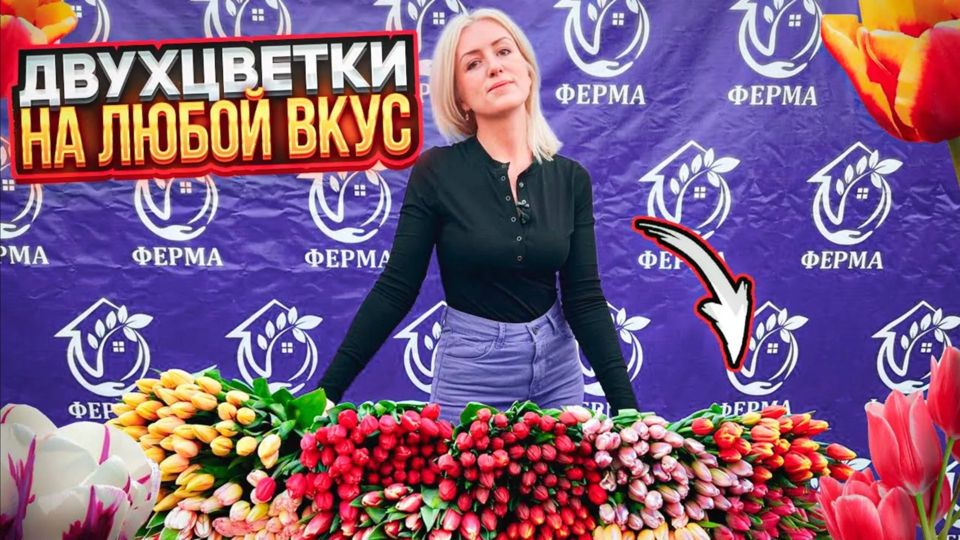 ДВУХЦВЕТНЫЕ ТЮЛЬПАНЫ на любой вкус