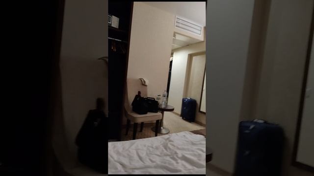 Сочи 2023 год декабрь