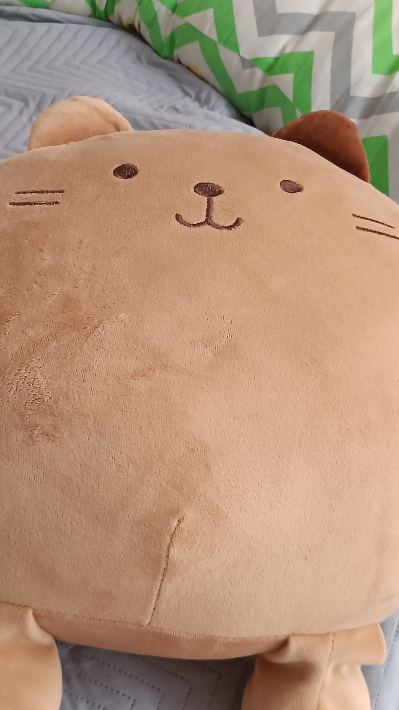 обзор песни ,,Во саду ли в огороде "