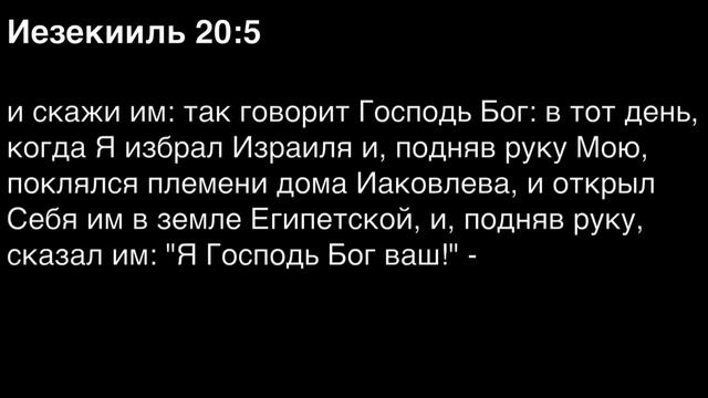 День 228. Библия за год. С митрополитом Иларионом.