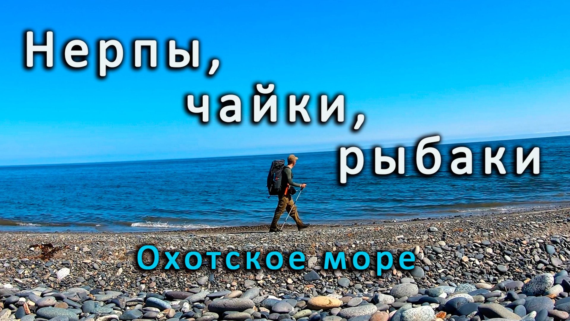 Нерпы, чайки, рыбаки / Поход выходного дня по берегу Охотского моря