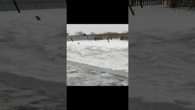 Выходные на даче 2024