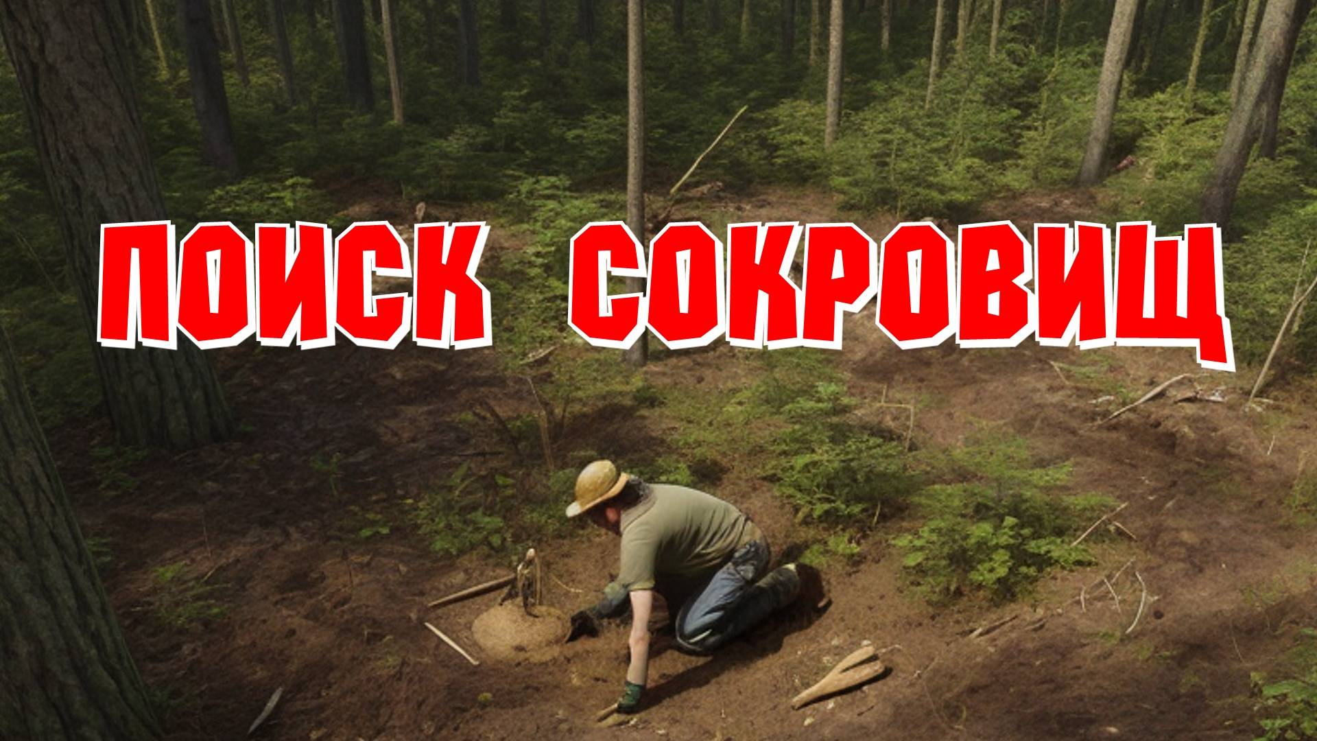 Неожиданные находки на лесной поляне