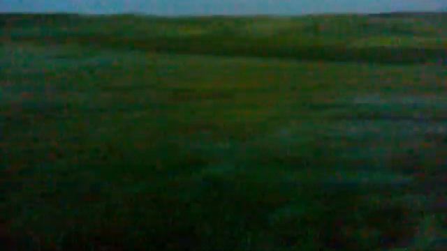 Т-40. Едем на сене домой