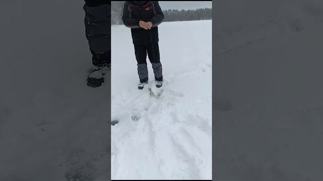 #рыбалка #рыбалкавкарелии #щука #жерлички