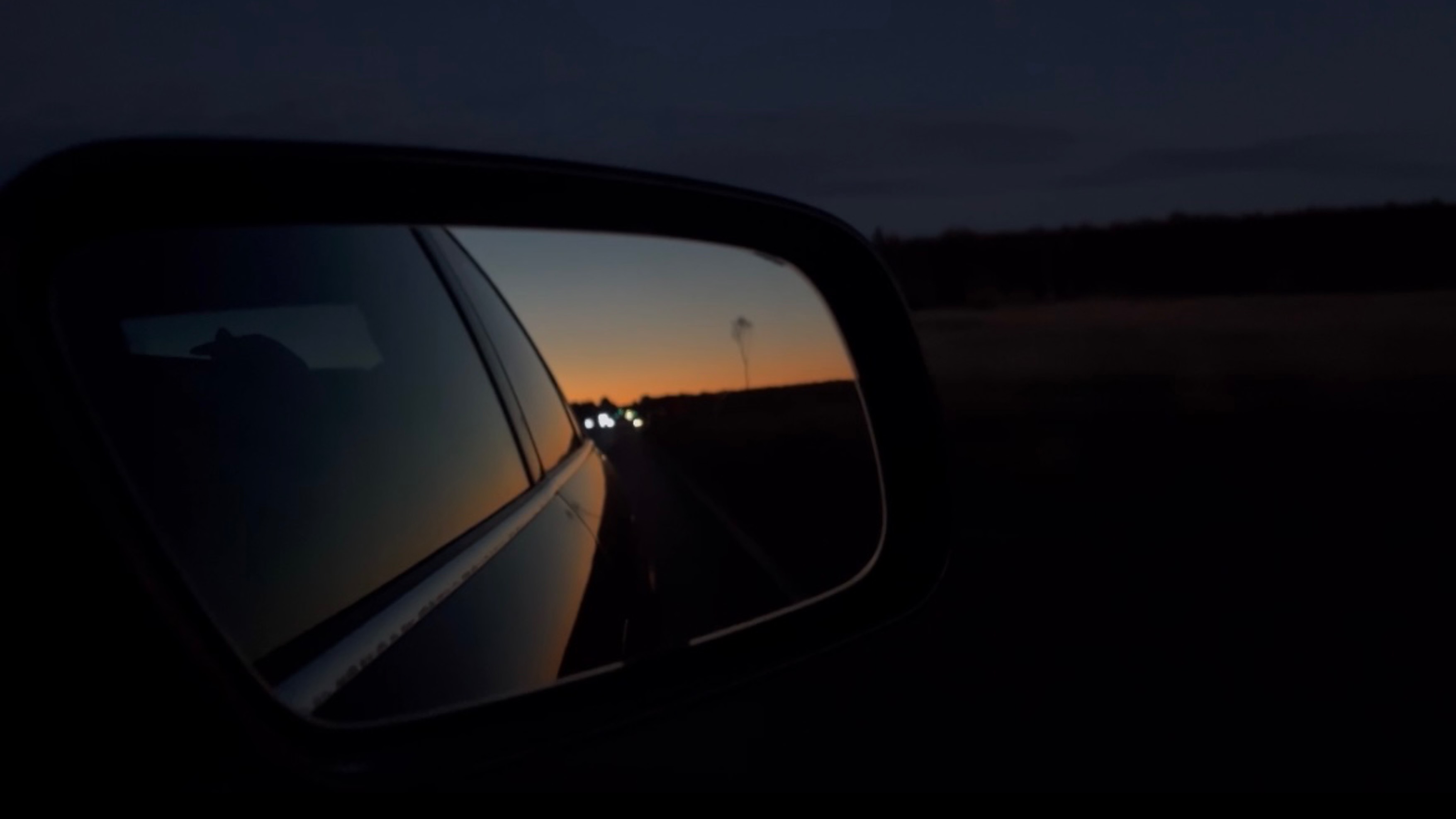 ВЛОГ: чем закончилась наша поездка в Вязьму? Зашли в прекрасную кофейню. Обзор покупок.