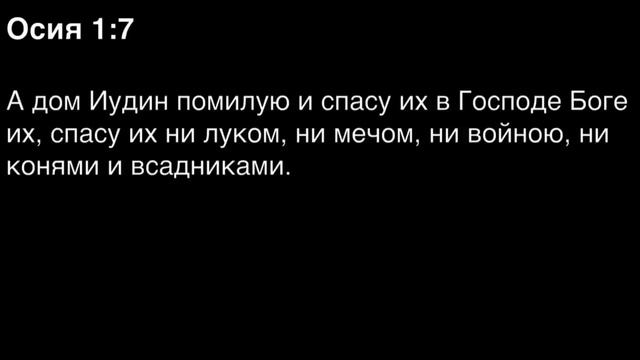 День 242. Библия за год. С митрополитом Иларионом.
