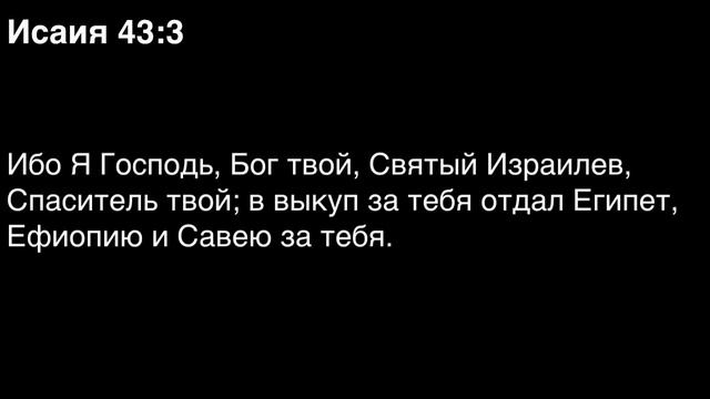 День 198. Библия за год. С митрополитом Иларионом