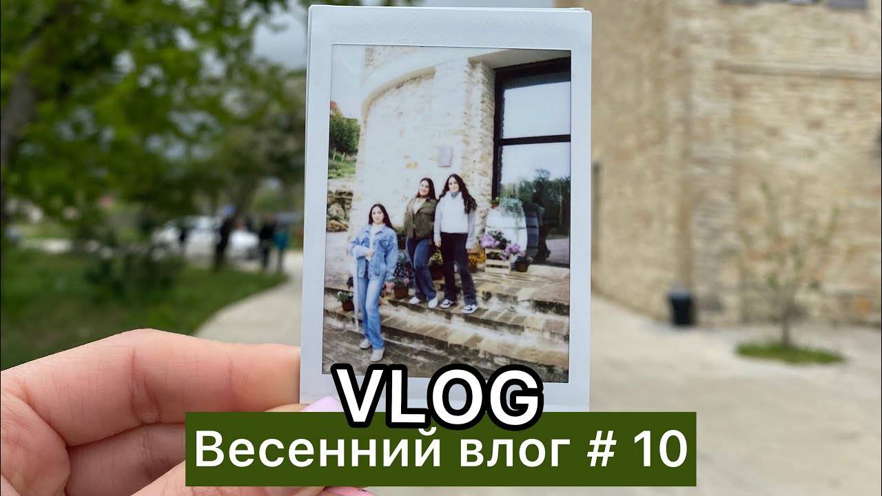 10_VLOG_поездка на винодельню_день с нами_рецепт из тикток_готовим хот-доги дома