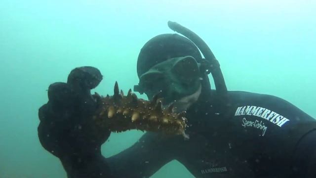 Русский остров-все удовольствия в одном флаконе